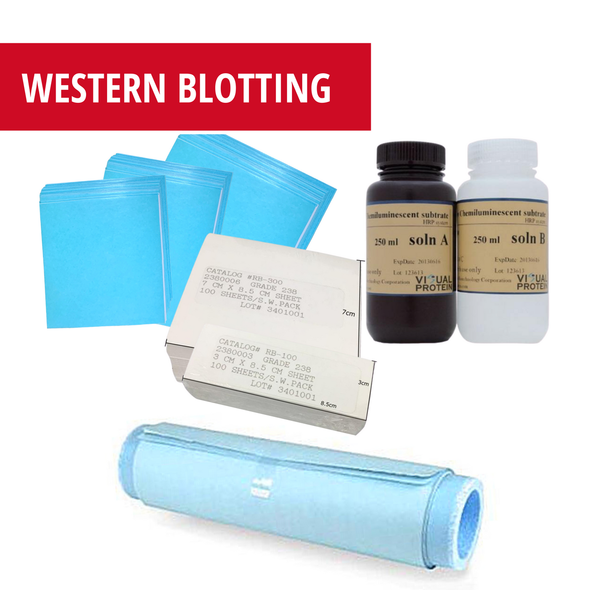 Western Blotting– Tagged "Buffer and Reagents" – NuSep